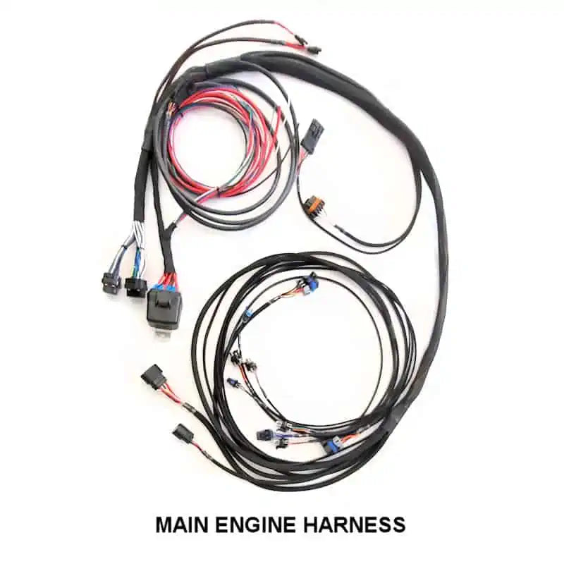 Ford Plug n’ Play Holley EFI Harness for Dominator, Terminator X, Term ...